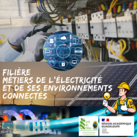 BAC Pro Métiers de l’Électricité et de ses Environnements Connectés ...