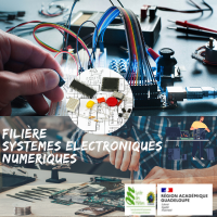 BAC Pro SYSTEMES ELECTRONIQUES NUMERIQUES – Lycée professionnel Louis Delgrès